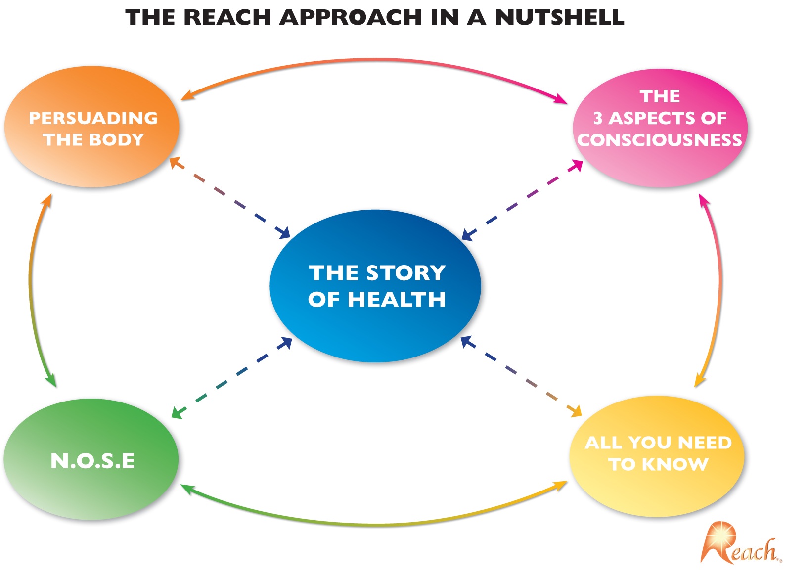 THE REACH APPROACH IN A NUTSHELL