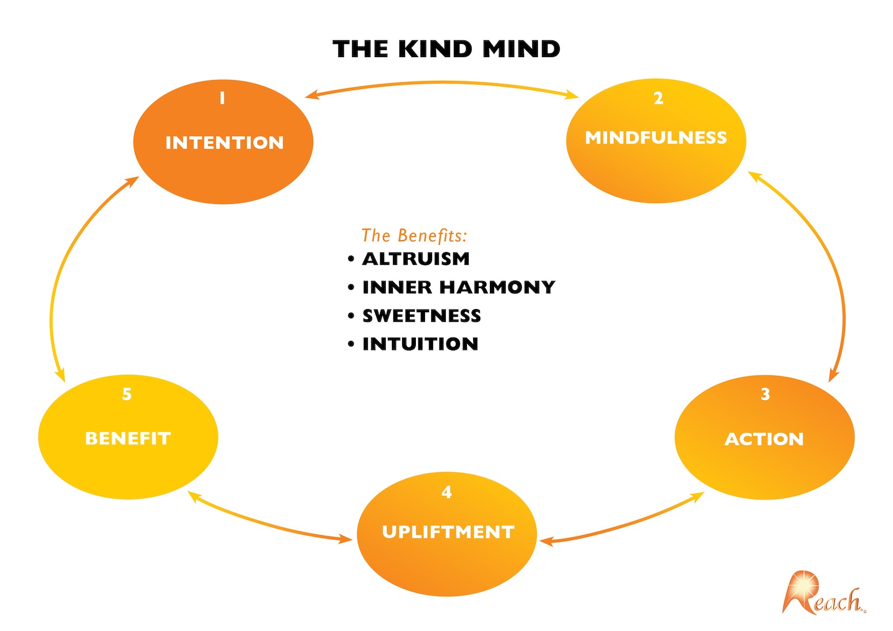 THE KIND MIND