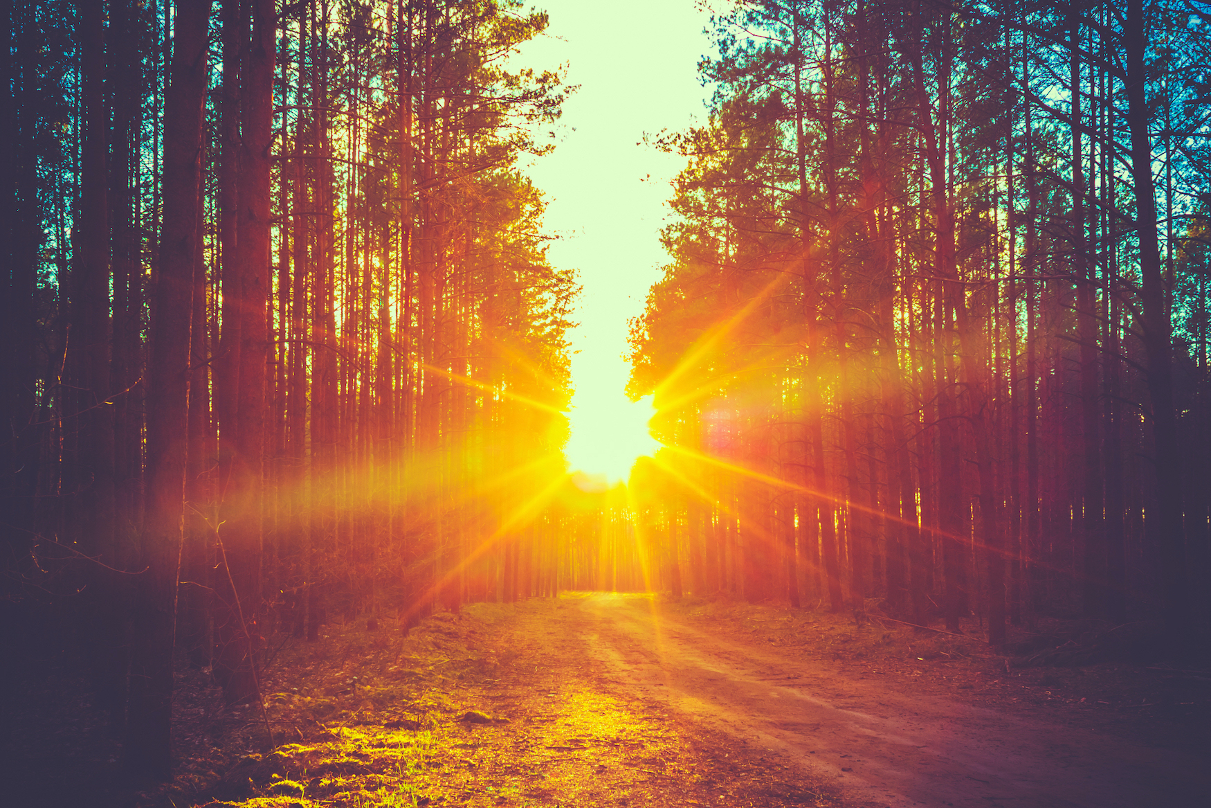 THE STORY OF LIGHT